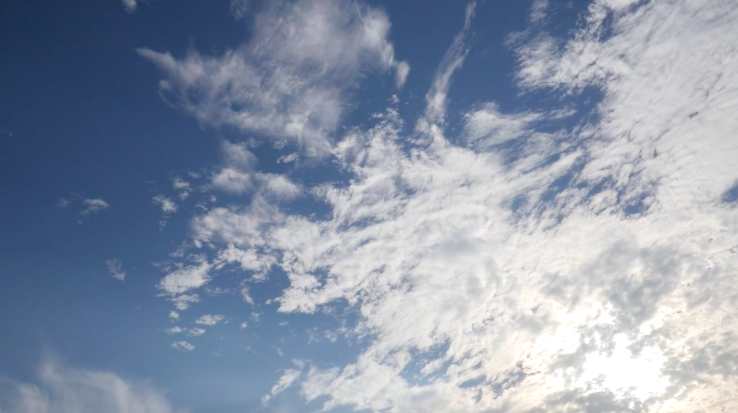 Team Michelle – Friends Don't Let Friends Fight Cancer Alone